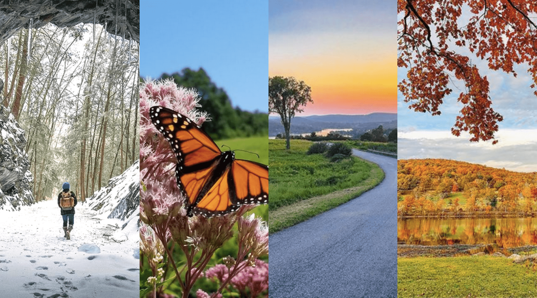 22 Things to Look Forward to in 2022 - Explore Washington CT