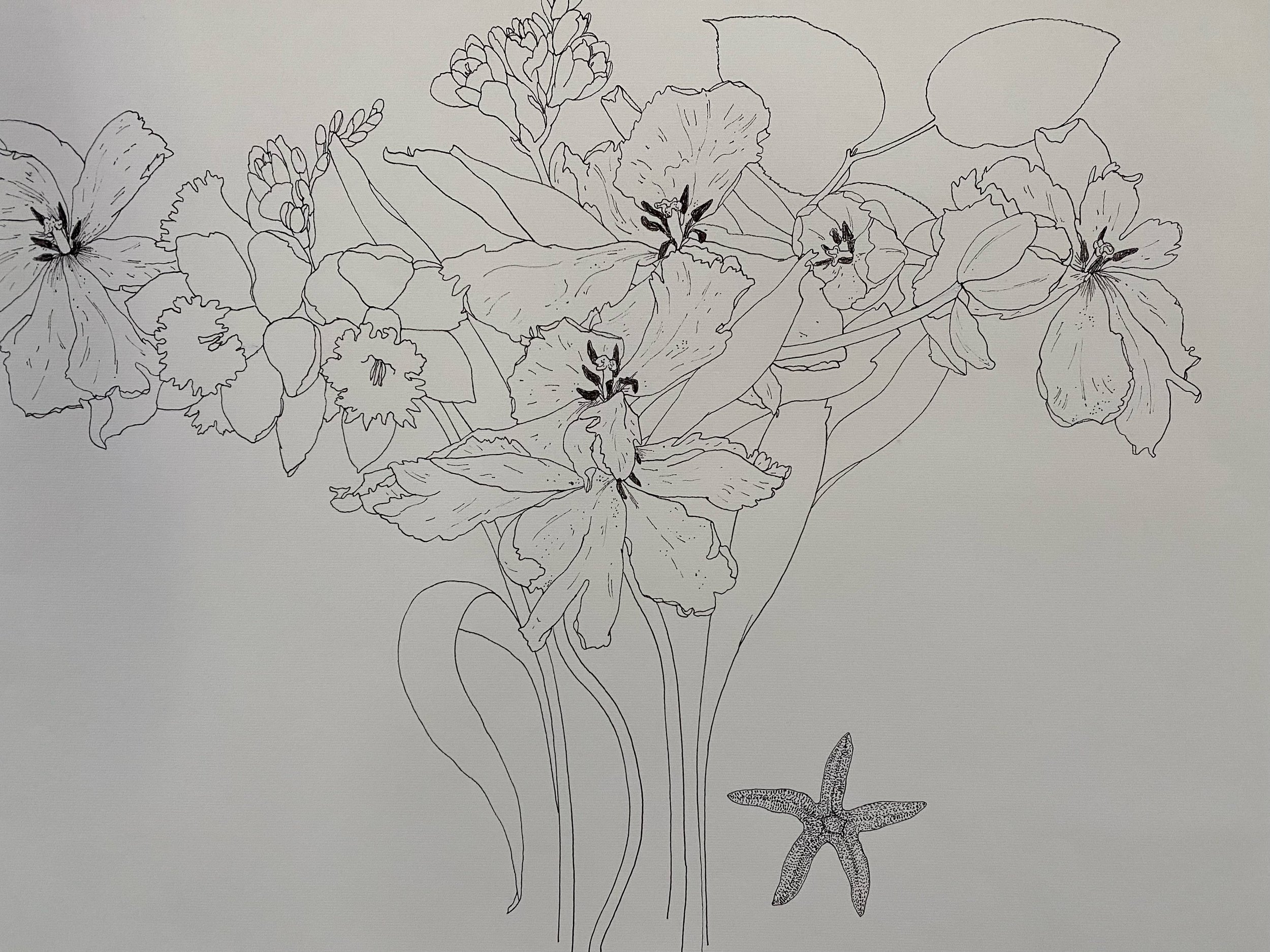 Drawing Botanical Forms in Pen and Ink with Pamela Sztybel - Explore ...