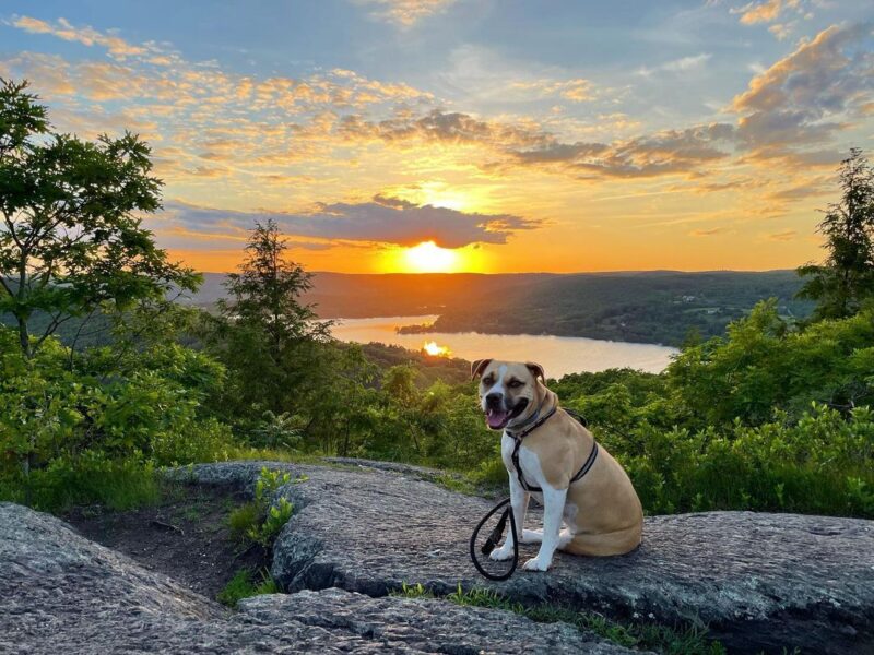 Washington Blog | Explore Washington CT