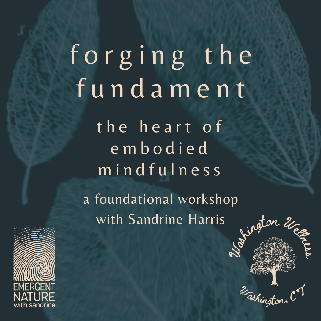 Forging the Fundament - Explore Washington CT