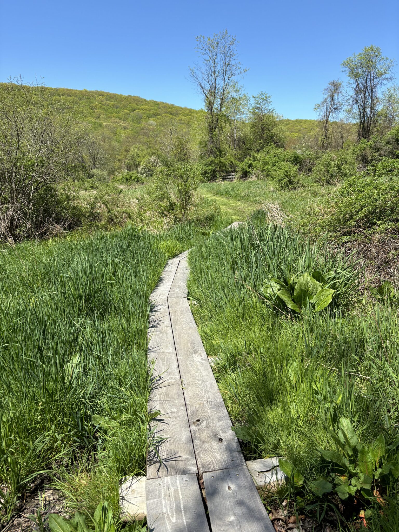 Summer Saunters: Hillside Farm - Explore Washington CT